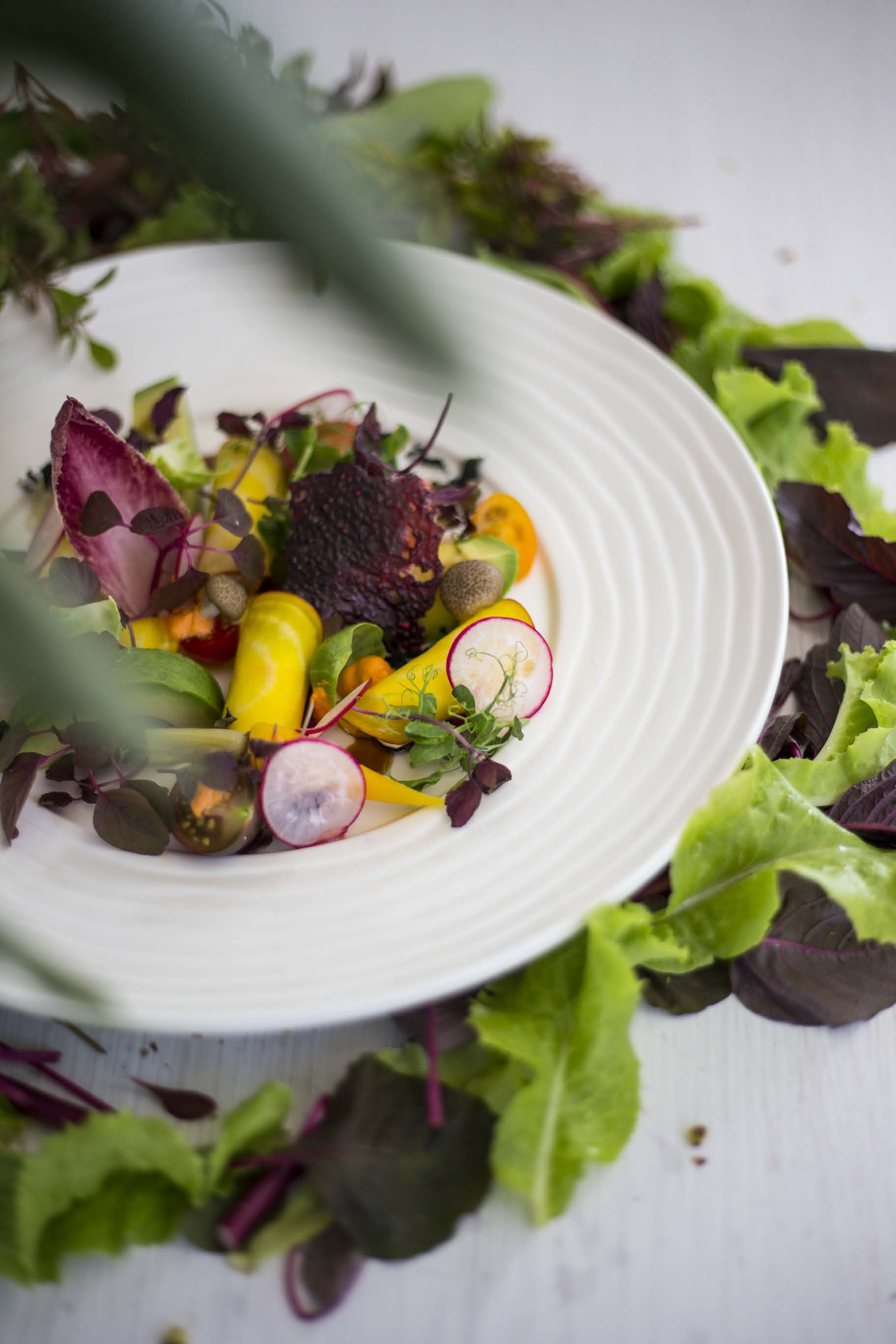 Raw plant-based diet – Wellness | Plant Based